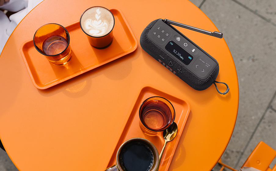 JBL Tuner 3 | Tragbares DAB/DAB+/UKW-Radio mit Bluetooth